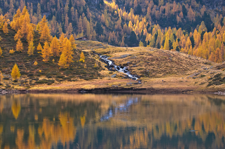 Herbst am Fischersee / Ultental Foto & Bild | landschaft, natur Bilder ...