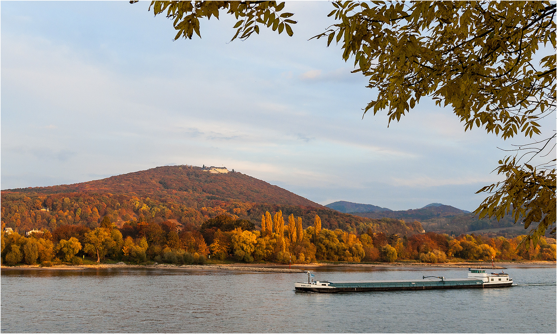 Herbst am Rhein Foto & Bild | landschaft, herbst, rhein Bilder auf ...