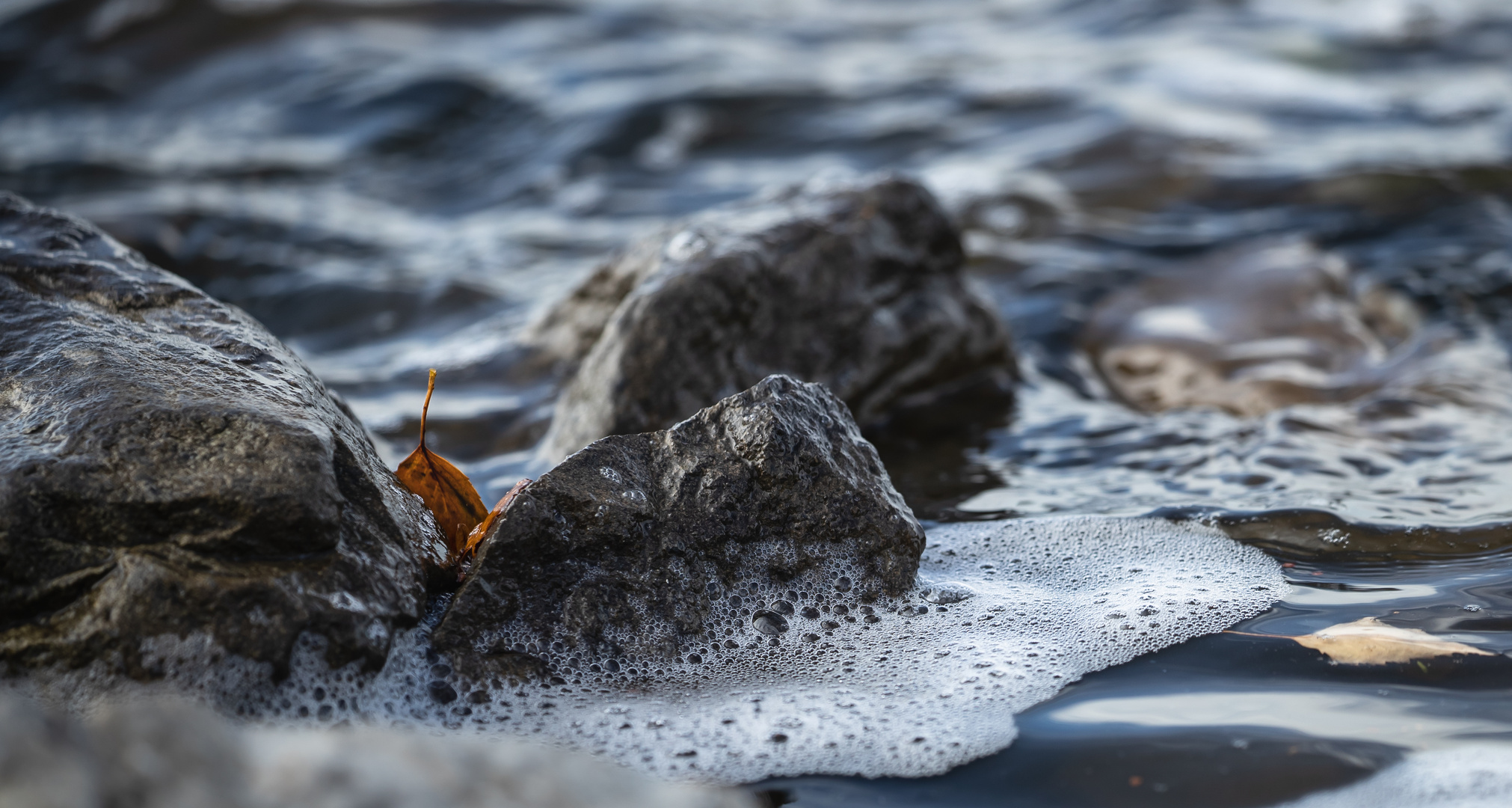 Herbst am Steinhuder Meer Foto & Bild | landschaft, jahreszeiten ...