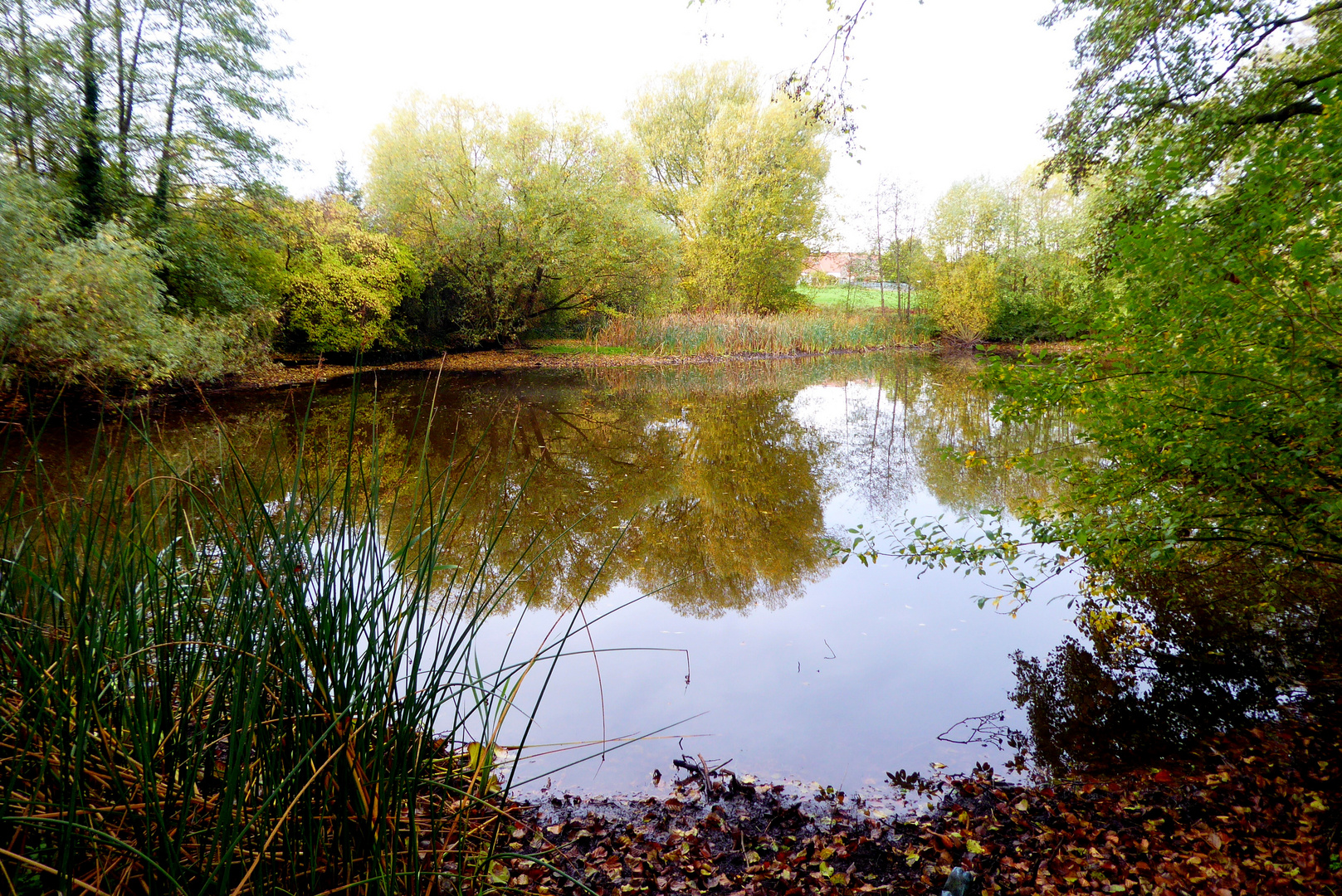 Herbst am Teich Foto & Bild | landschaft, projekte, bach, fluss & see Bilder auf fotocommunity