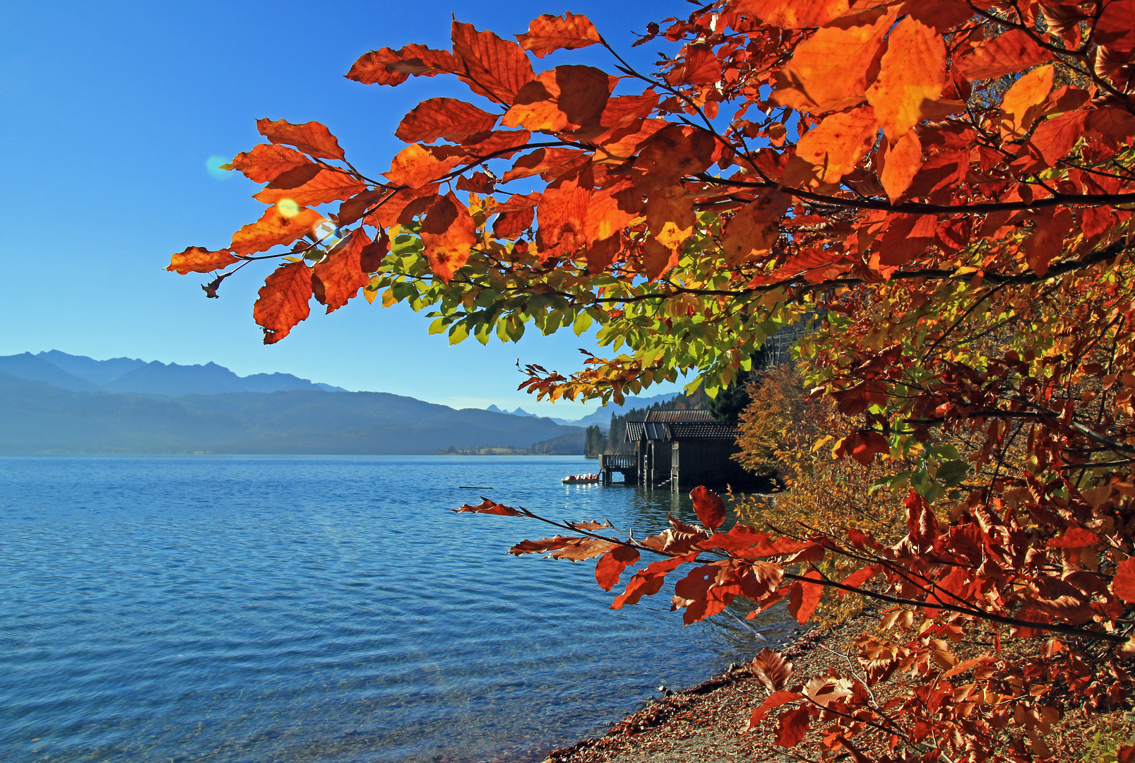 Herbst am Walchensee Foto & Bild | nature, bäume, baum Bilder auf ...