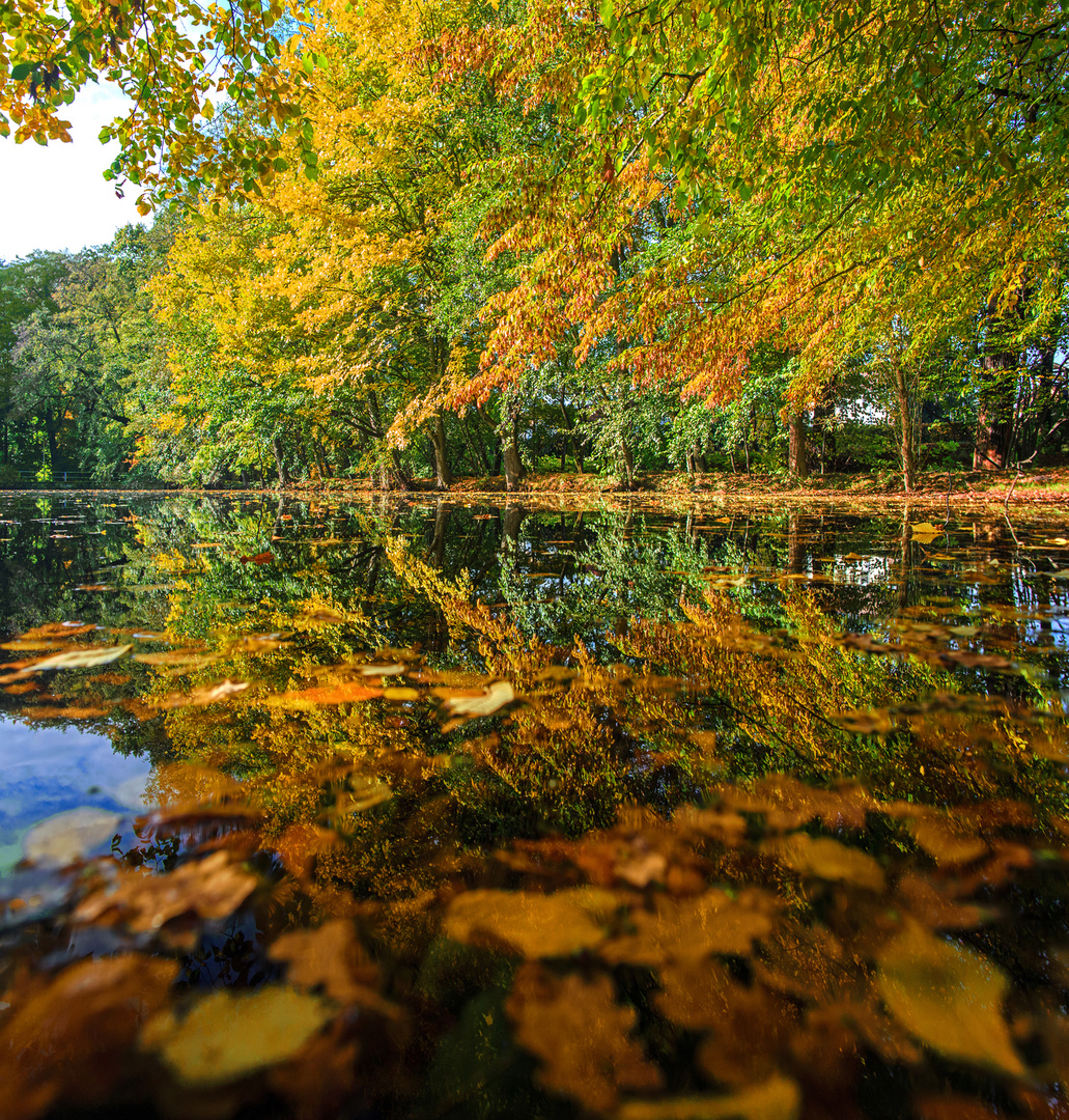 Herbst am Wasser Foto & Bild | park, oktober, teich Bilder auf ...