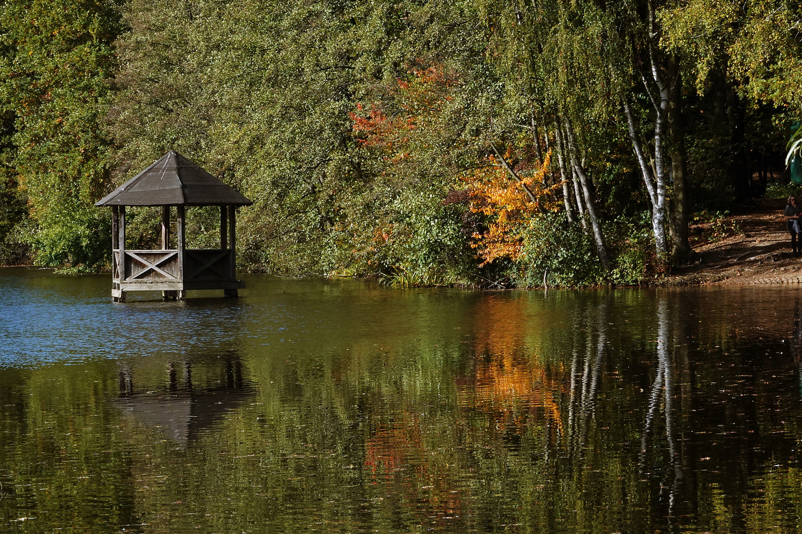 Herbst am Weiher Foto & Bild | jahreszeit, natur, herbst Bilder auf ...