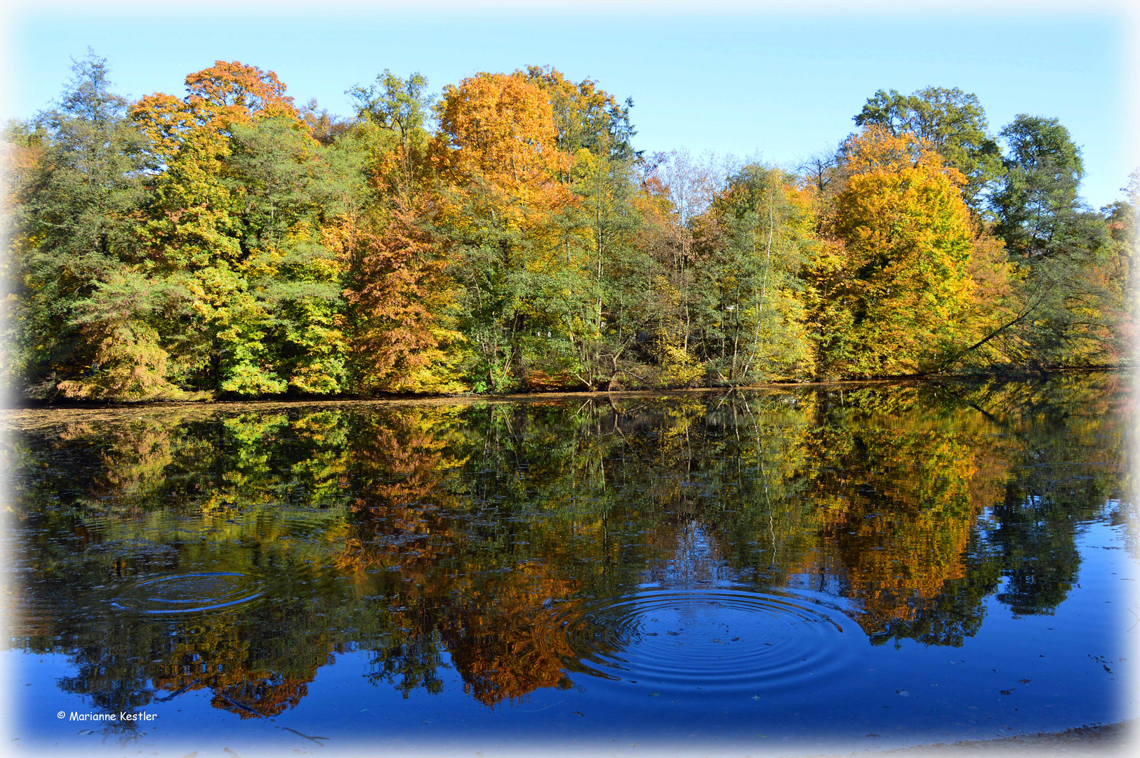 Herbst am Weiher Foto & Bild | natur, wasser, bäume Bilder auf ...