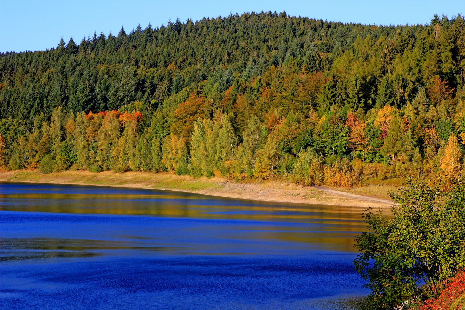 Herbst an der Breitenbachtalsperre 1 (Hilchenbach-Allenbach) Foto ...