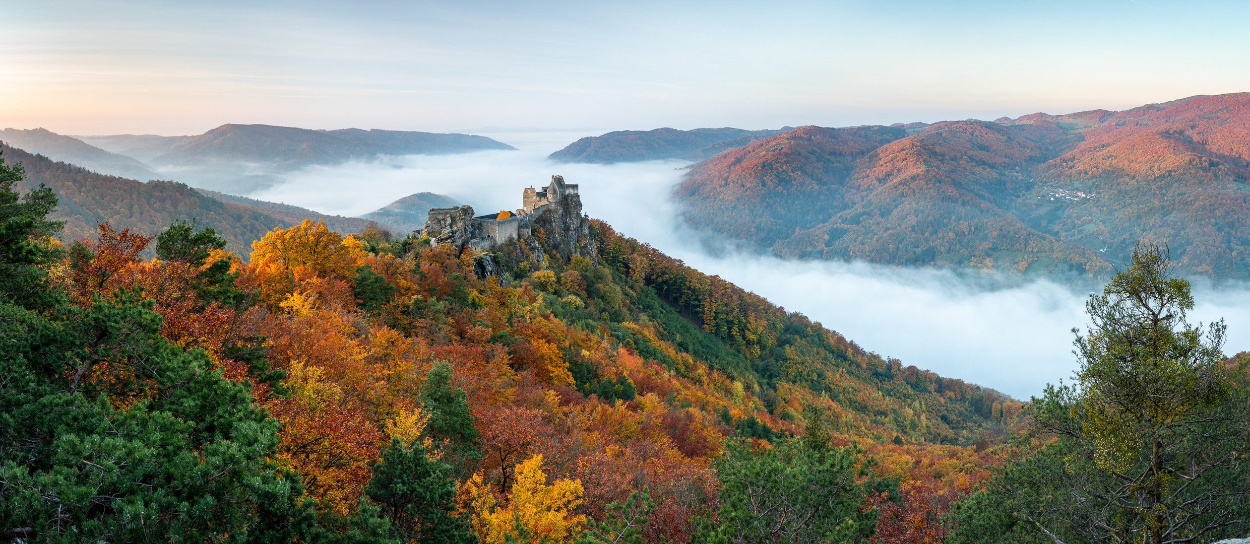 Herbst auf der Ruine Aggstein Foto & Bild | landschaft, wald, bäume ...