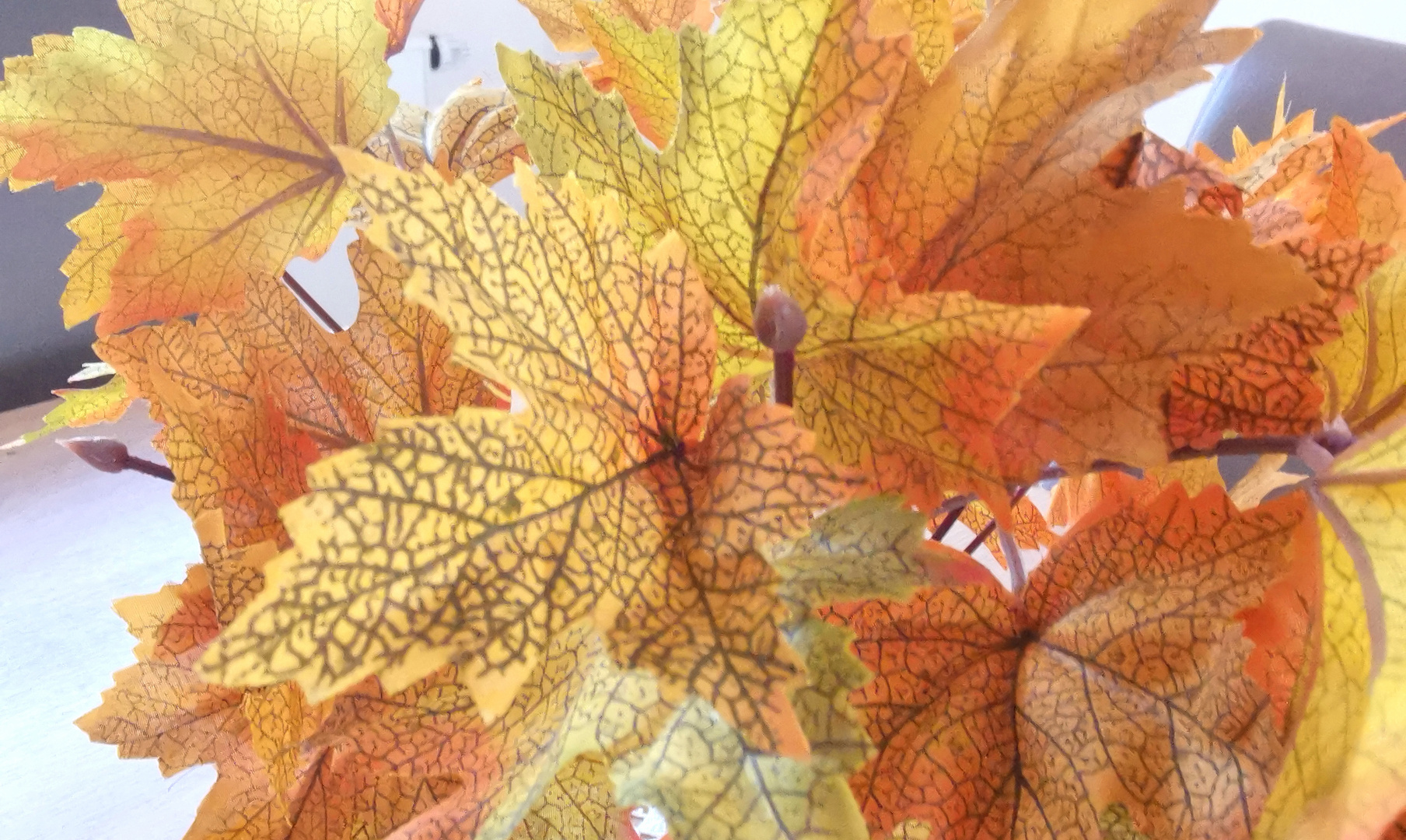 Herbst Blätter Foto & Bild | deutschland, europe, saarland Bilder auf ...