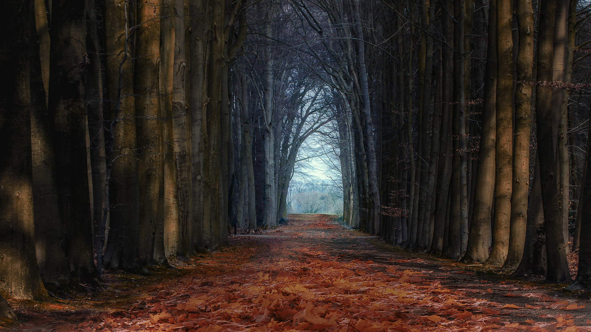 Herbst Foto & Bild | landschaft, jahreszeiten, herbst Bilder auf fotocommunity