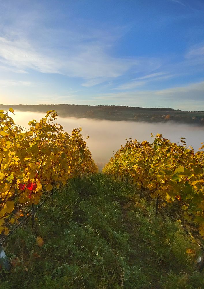 Herbst Foto & Bild | jahreszeiten, herbst, natur Bilder auf fotocommunity