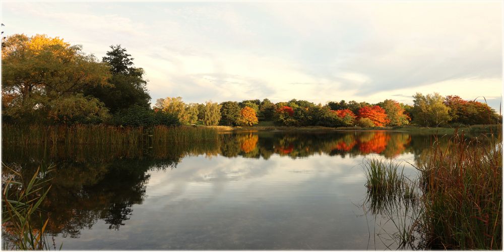 Herbst – die farbigste und schillerndste Jahreszeit Foto & Bild | landschaft, jahreszeiten ...