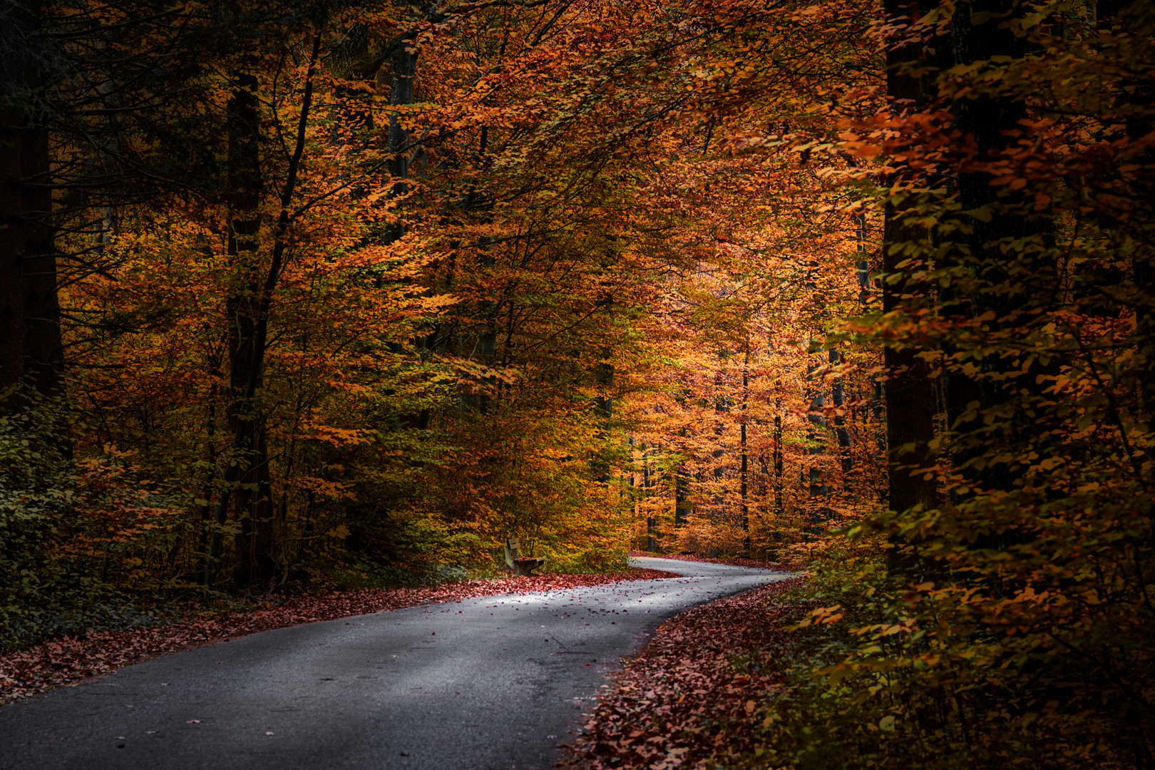 Herbst Foto & Bild | landschaft, jahreszeiten, herbst Bilder auf fotocommunity
