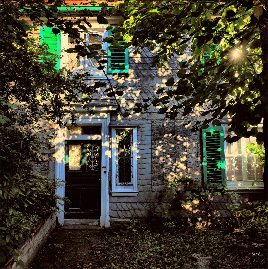 Herbst im Bergischen Land Foto & Bild | fotos, world, sonne Bilder auf fotocommunity