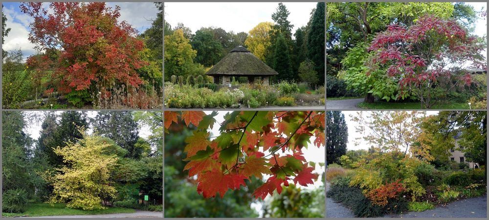 Herbst im Botanischen Garten in Dresden Foto & Bild | landschaft, jahreszeiten, herbst Bilder ...