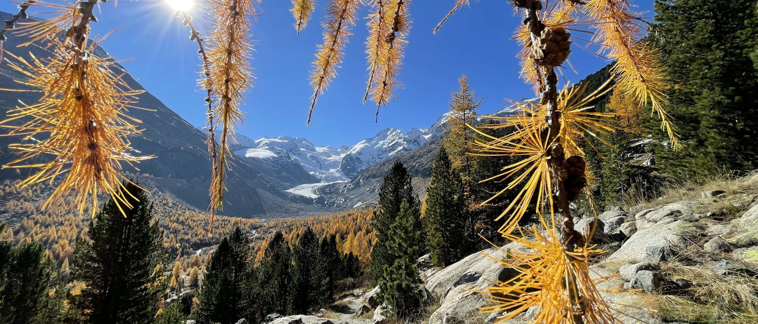 Herbst im Engadin Foto & Bild | europe, schweiz & liechtenstein ...