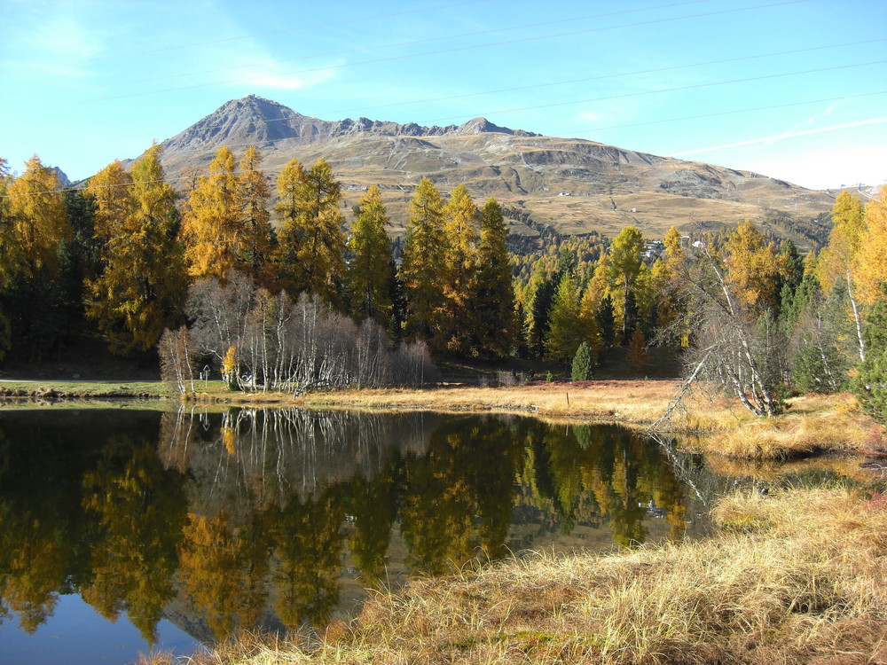 Herbst im Engadin Foto & Bild | jahreszeiten, herbst, natur Bilder auf ...
