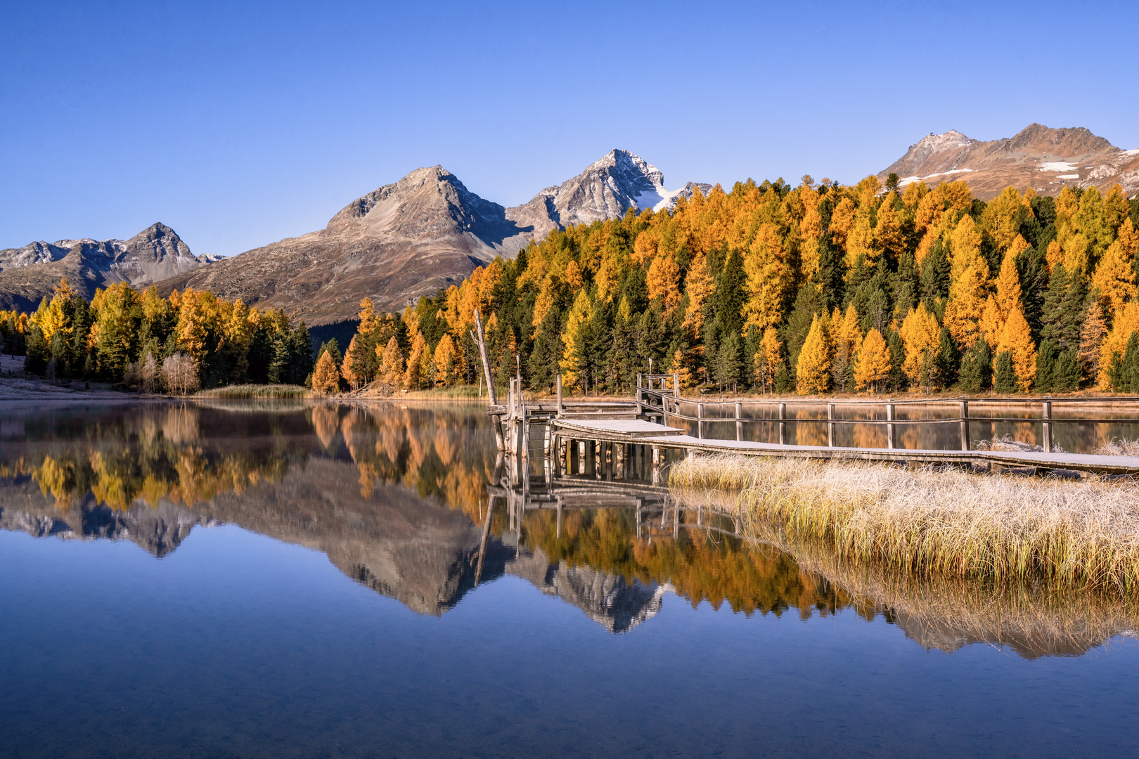 Herbst im Engadin Foto & Bild | europe, schweiz & liechtenstein ...