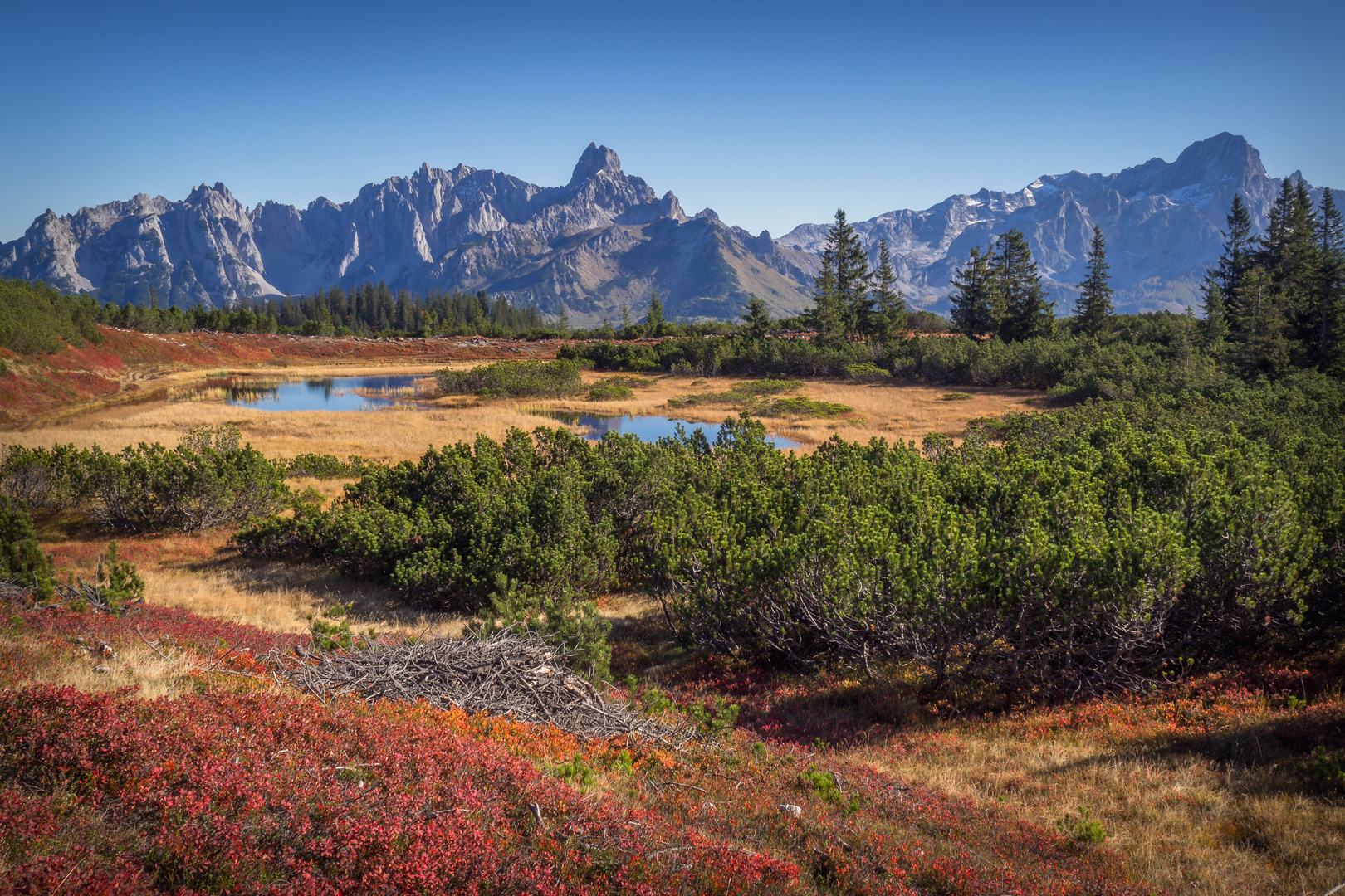Herbst im Naturschutzgebiet Gerzkopf Foto & Bild | europe, Österreich, landschaft Bilder auf ...