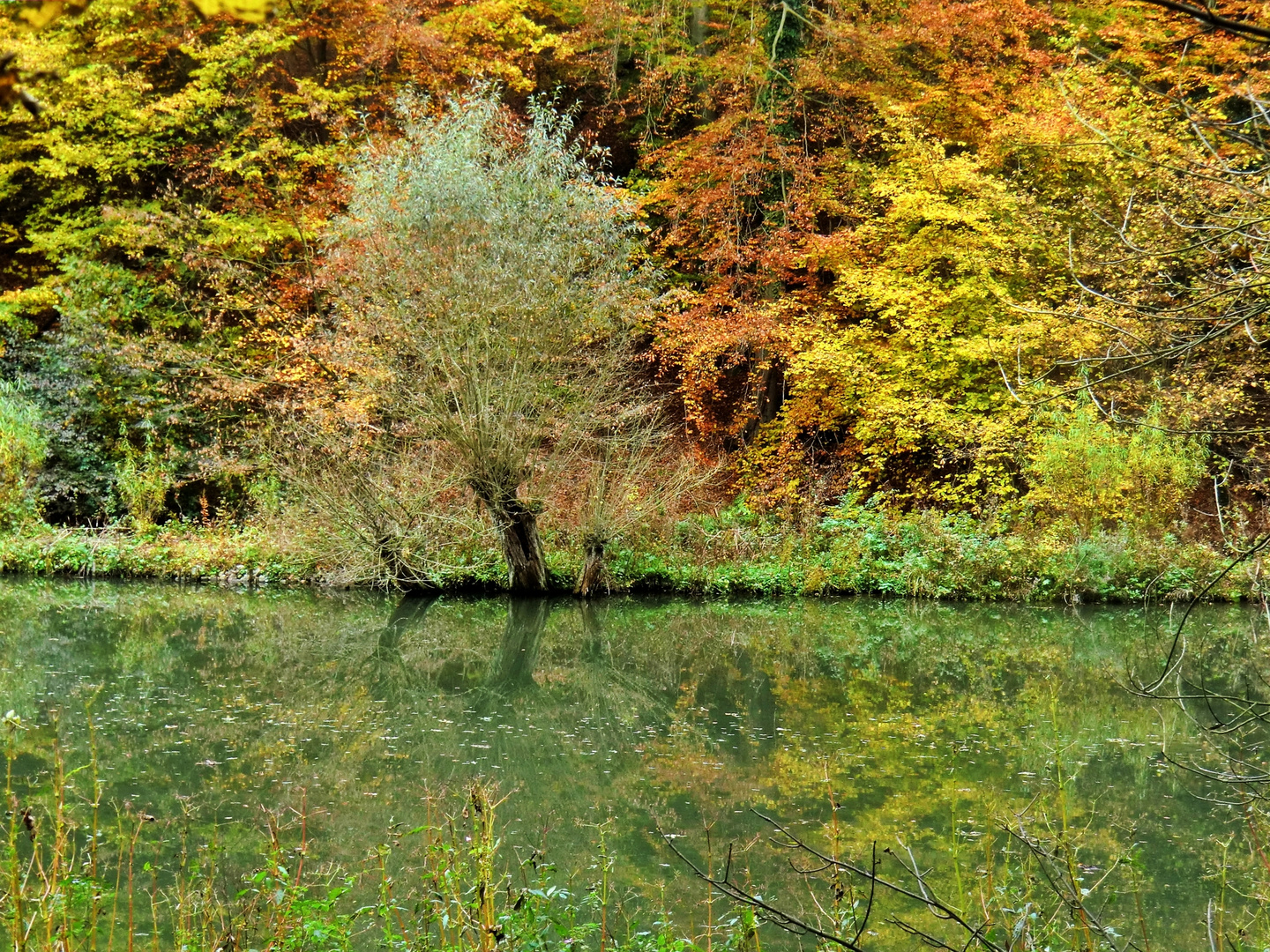 Herbst im Neandertal Foto & Bild | jahreszeiten, herbst, neandertal Bilder auf fotocommunity