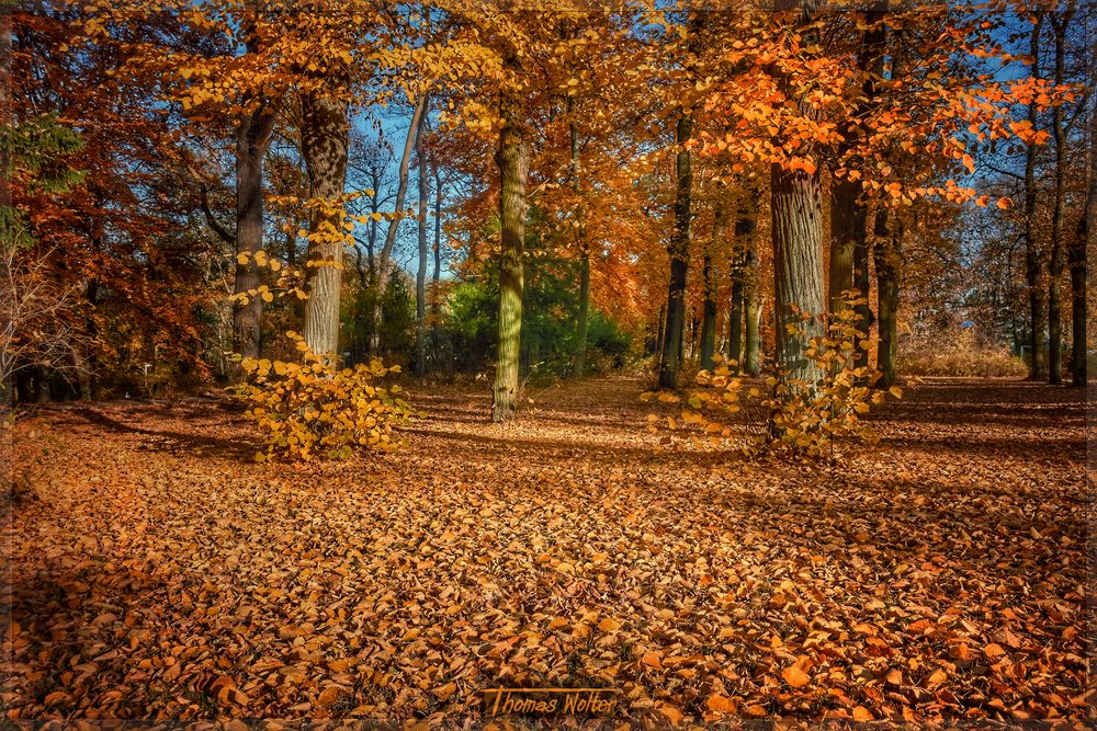 Herbst im Park Foto & Bild | jahreszeiten, herbst, landschaften Bilder auf fotocommunity