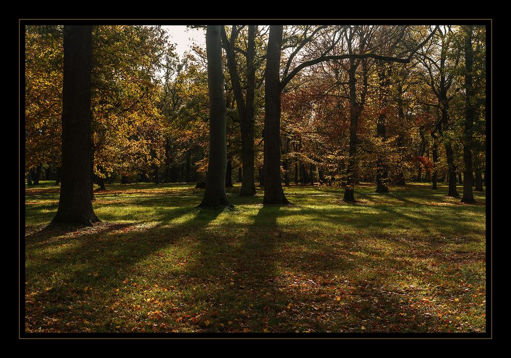 Herbst im Park Foto & Bild | jahreszeiten, herbst, natur Bilder auf fotocommunity
