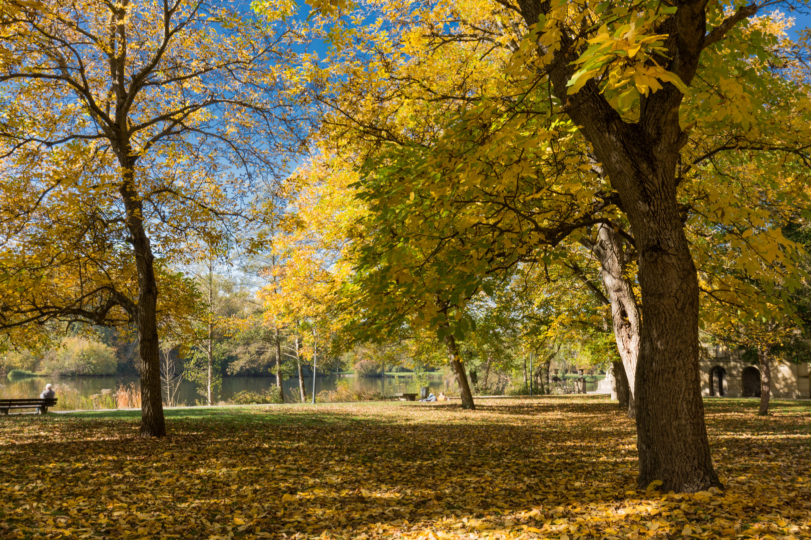 Herbst im Park Foto & Bild | jahreszeiten, herbst, park Bilder auf fotocommunity