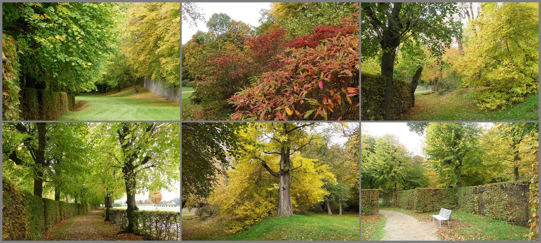 Herbst im Park von Moritzburg Foto & Bild | landschaft, jahreszeiten, herbst Bilder auf ...