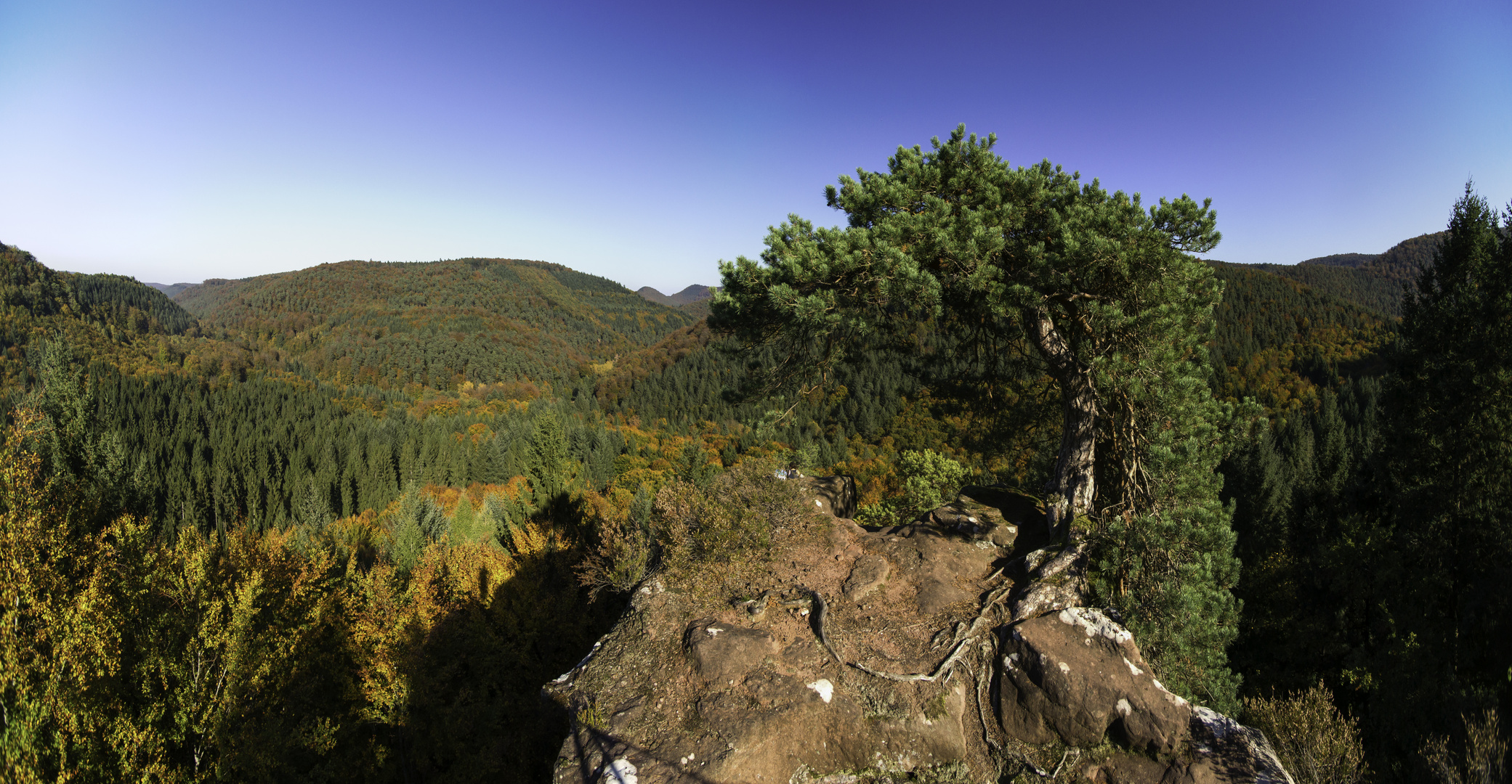 Herbst im Pfälzerwald Foto & Bild | deutschland, europe, rheinland ...
