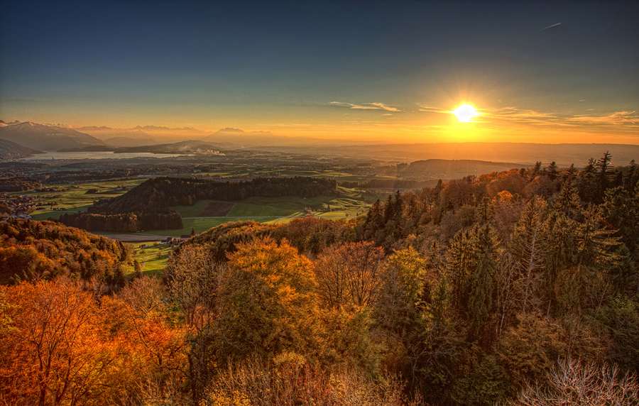 Herbst im Sihlwald Foto & Bild | landschaft, wald, sonnenuntergang ...