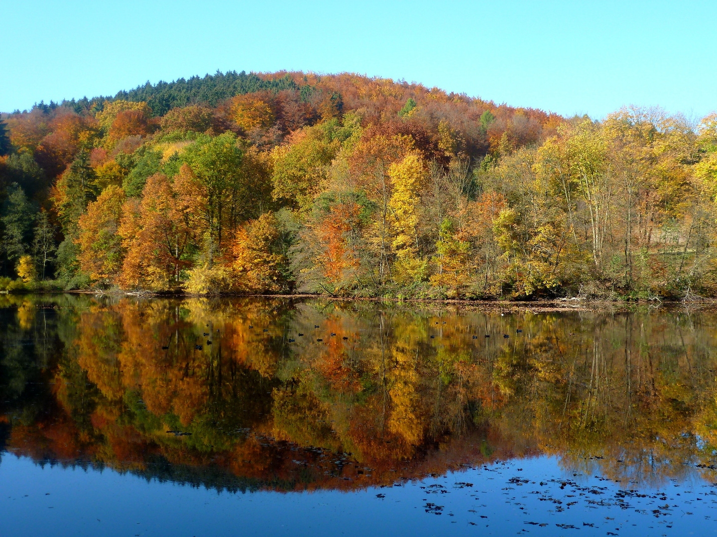 Herbst im Solling Foto & Bild | jahreszeiten, herbst, im solling Bilder ...
