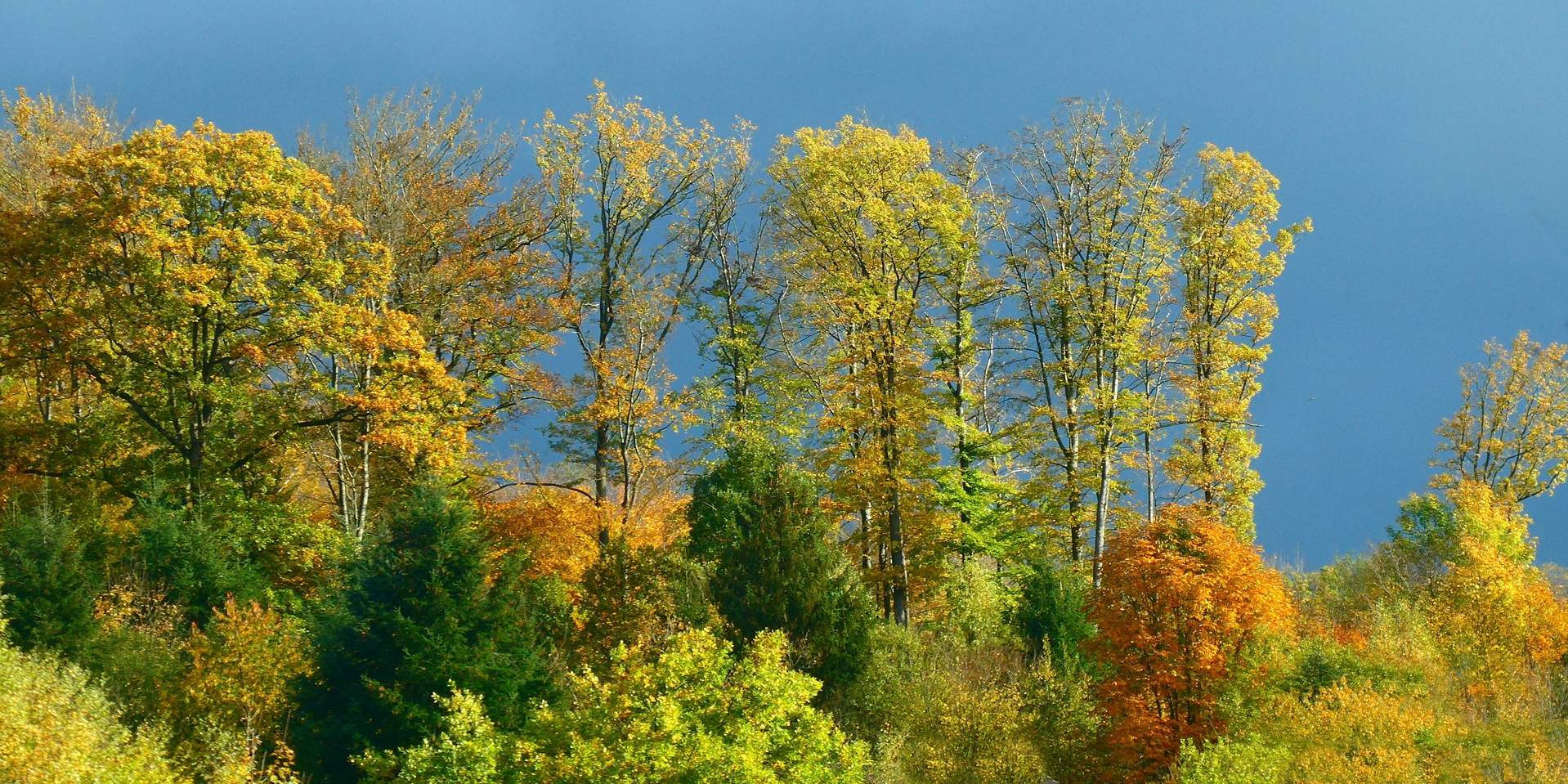 Herbst im Solling - Ich genieße ihn :-) Foto & Bild | natur ...