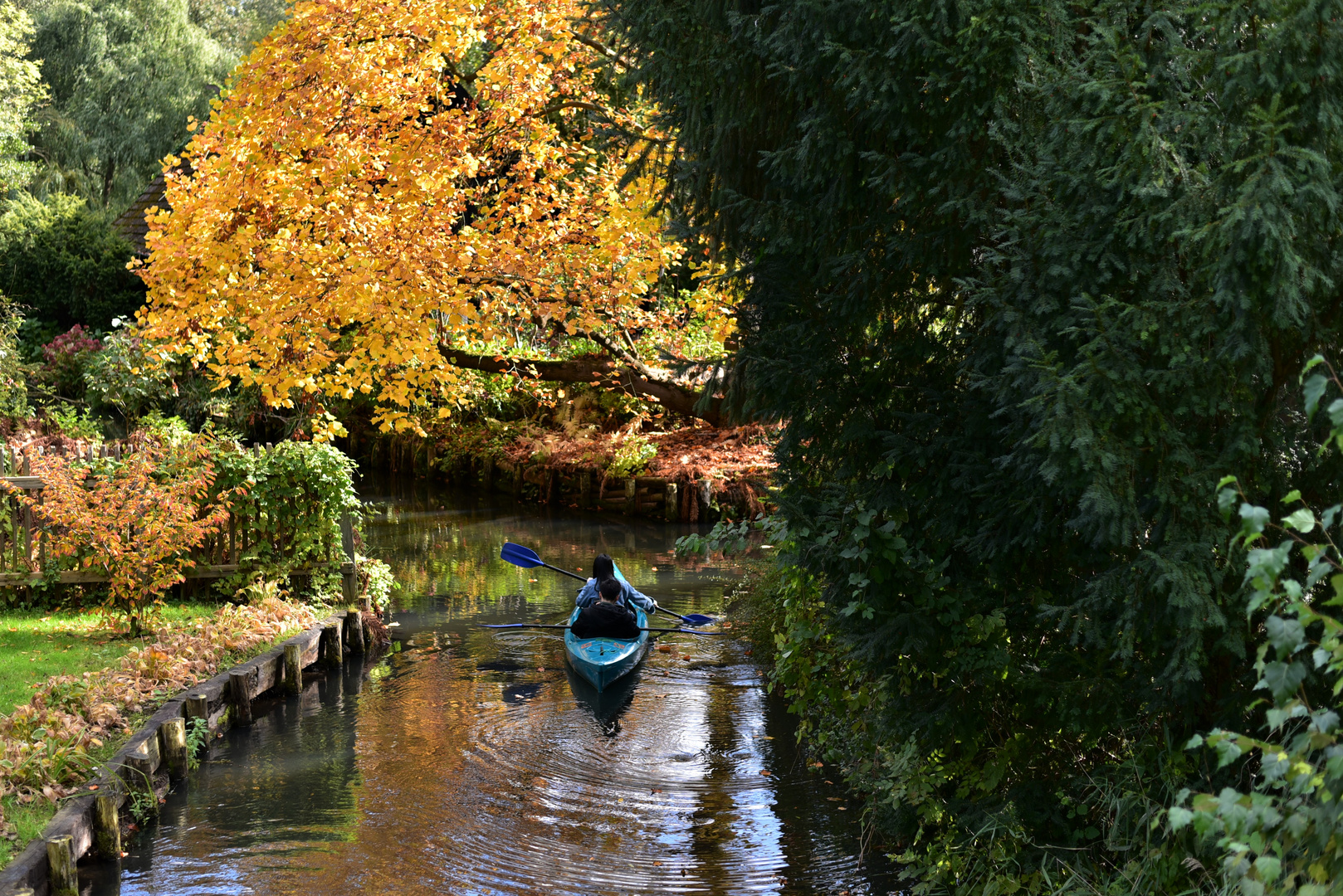 Herbst im Spreewald Foto & Bild | natur, herbst, spreewald Bilder auf ...