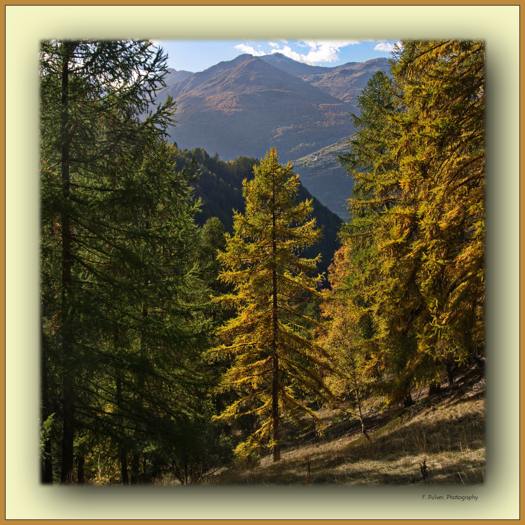 Herbst im Wallis Foto & Bild | europe, schweiz & liechtenstein ...