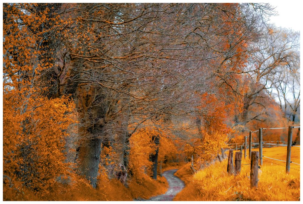 Herbst Impressionen Foto & Bild | landschaft, jahreszeiten, herbst Bilder auf fotocommunity