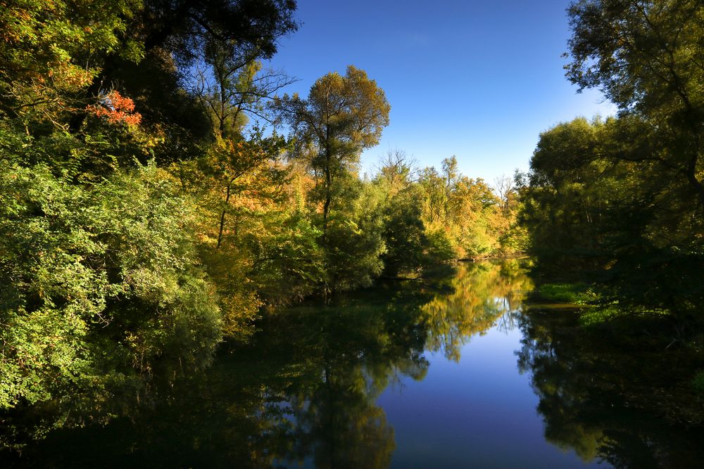 Herbst in den Rheinauen Foto & Bild | natur, herbst, landschaft Bilder ...