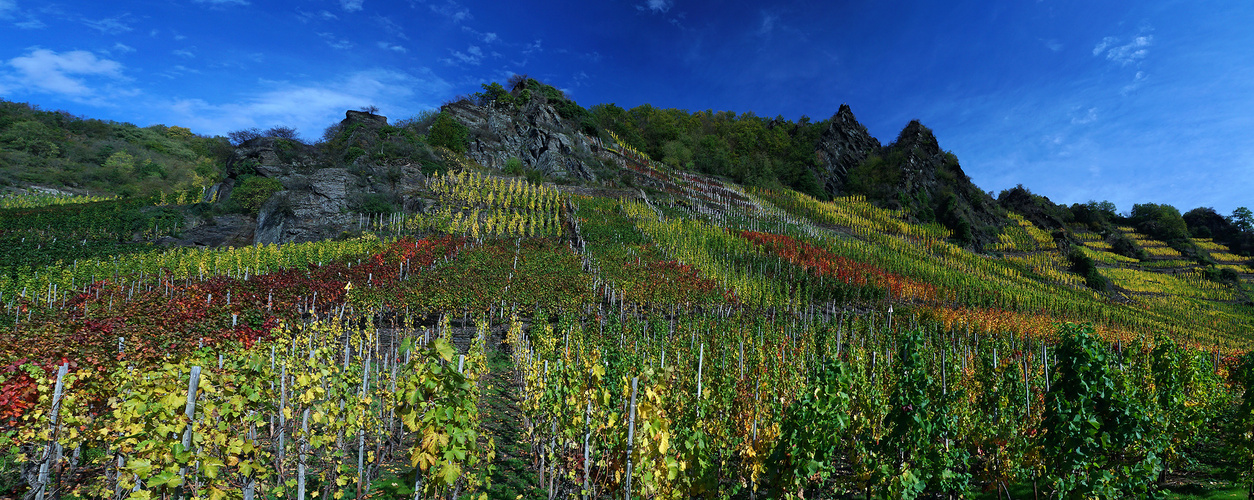 Herbst in den Weinbergen Foto & Bild | landschaft, jahreszeiten, herbst Bilder auf fotocommunity