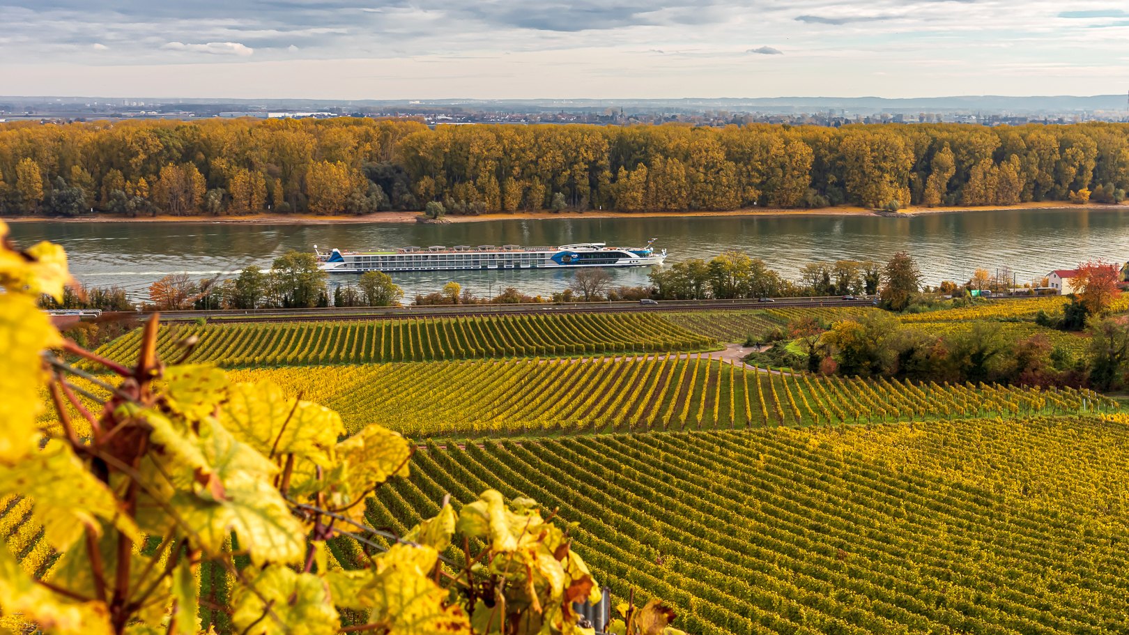 Herbst in den Weinbergen am Rhein Foto & Bild | landschaft, bach, fluss ...