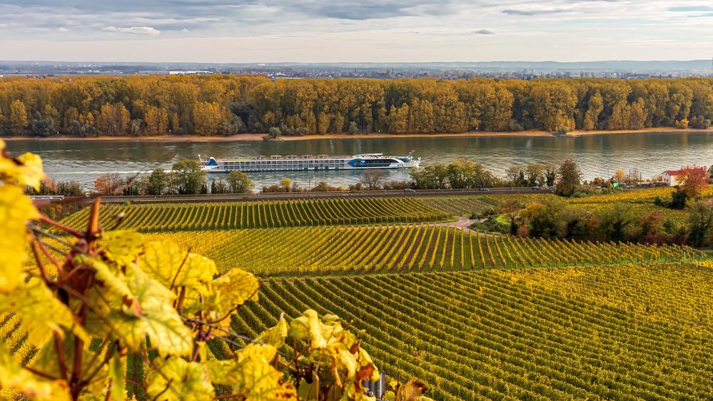 Herbst in den Weinbergen am Rhein Foto & Bild | landschaft, bach, fluss ...