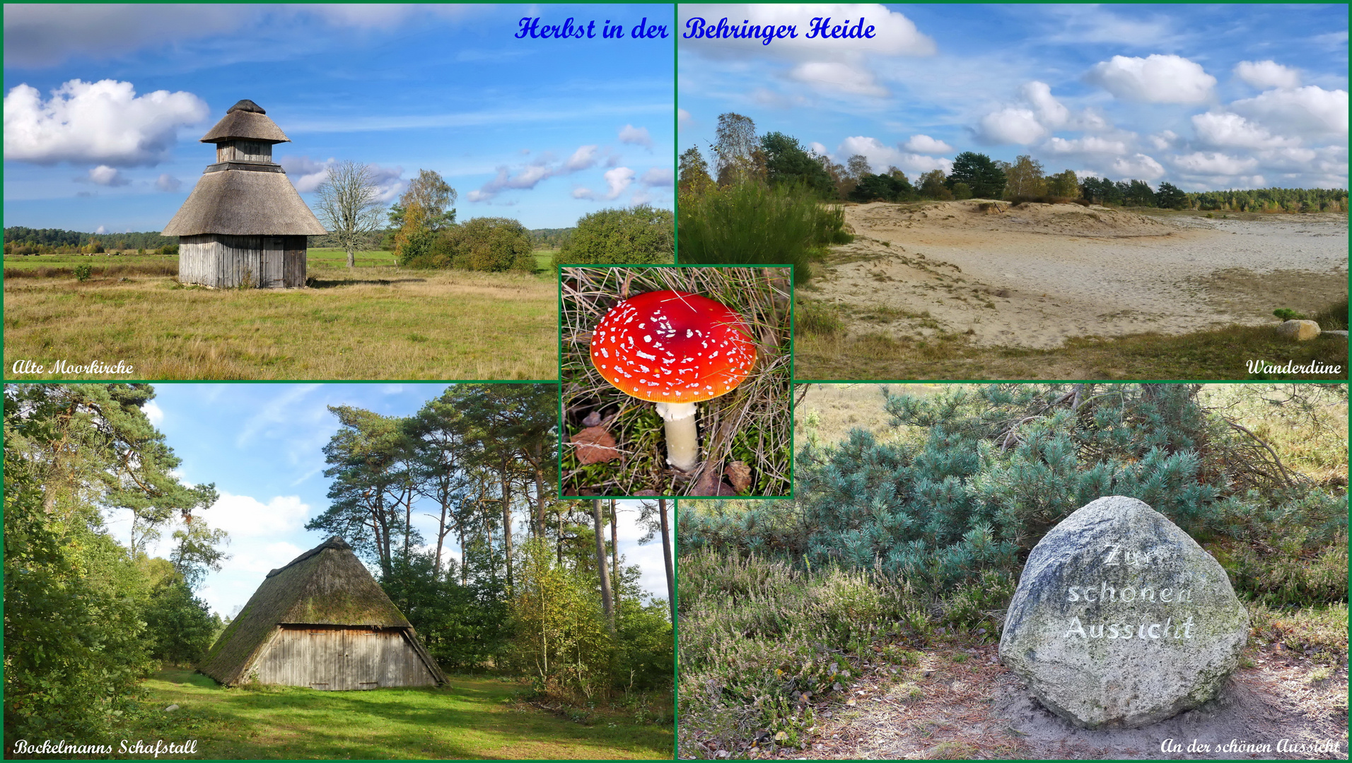 Herbst in der Behringer Heide Foto & Bild | world, spezial, natur ...