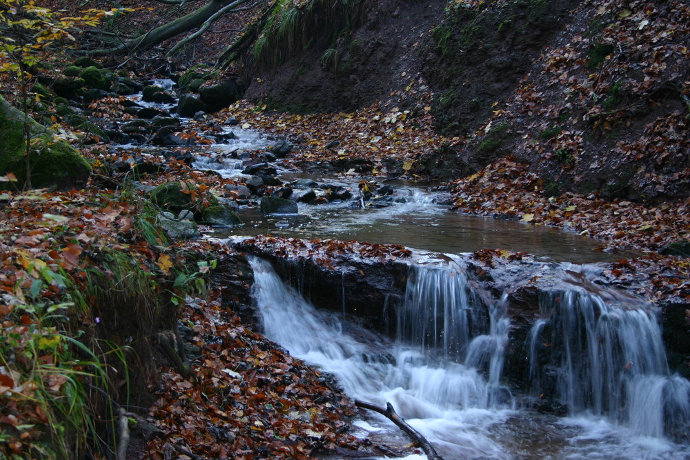 Herbst in der Kaskadenschlucht bei Gersfeld/ Rhön Foto & Bild ...