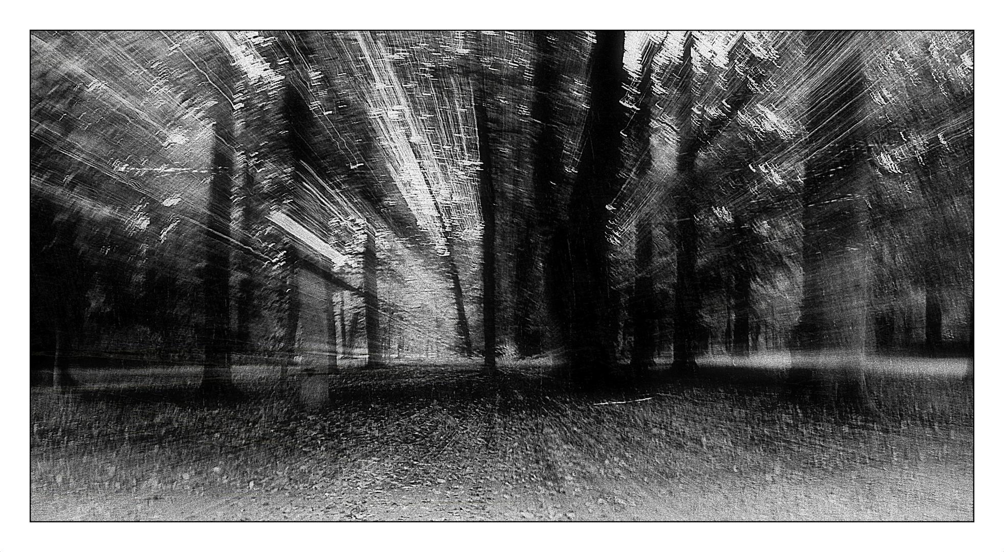 " Herbst in Monochrom " Foto & Bild | jahreszeiten, herbst, s/w ...