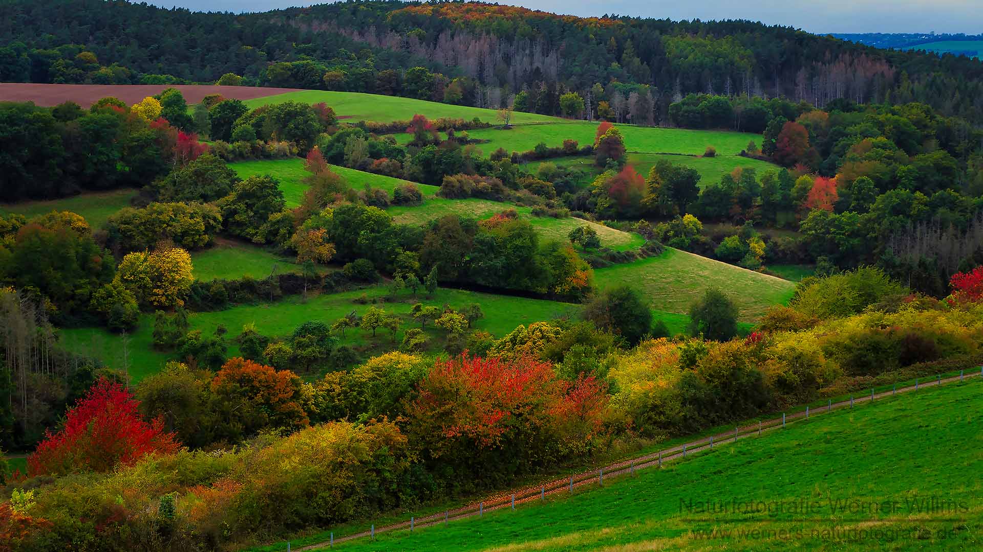 Herbst in seiner schönsten Form.... Foto & Bild | natur Bilder auf fotocommunity