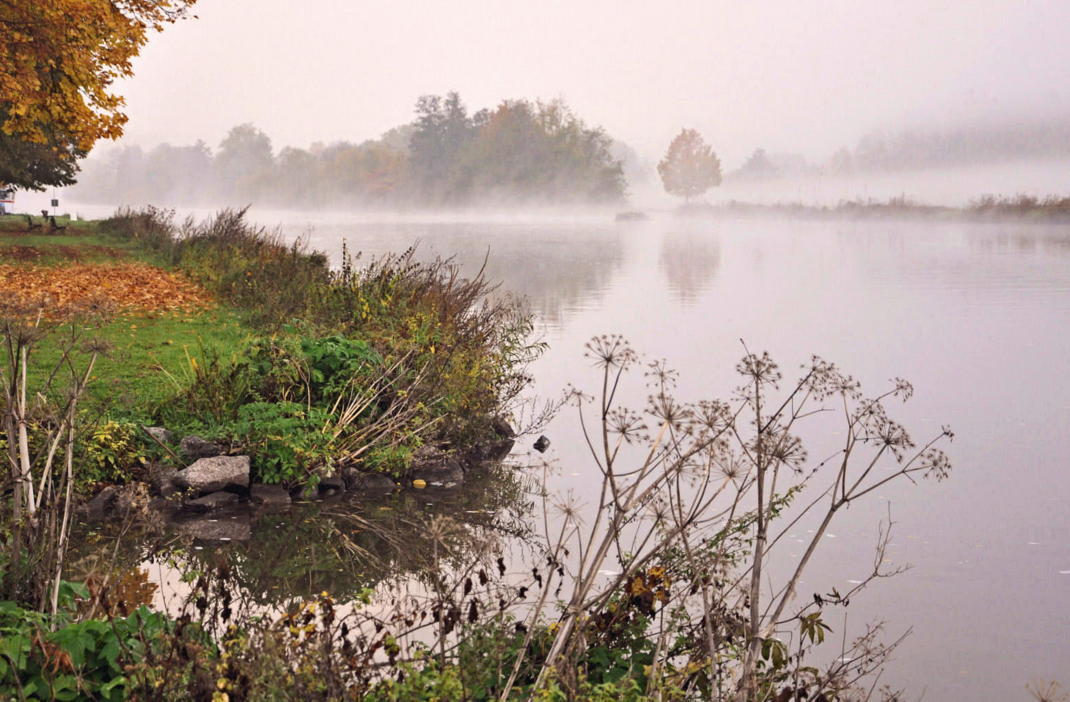Herbst - NEBEL Foto & Bild | deutschland, europe, bayern Bilder auf ...