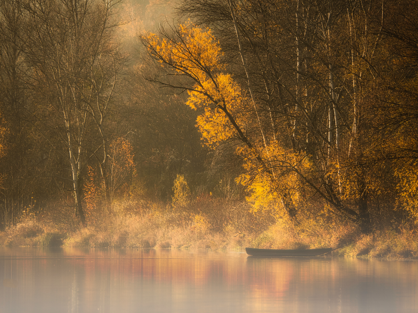 Herbst - Nebel Foto & Bild | landschaft, bach, fluss & see, natur ...
