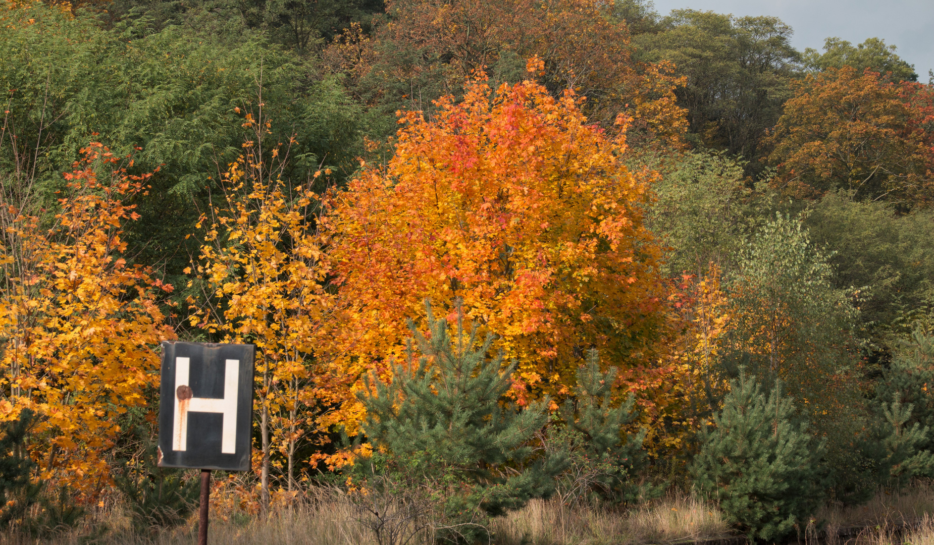 "H"erbst - Tafel... Foto & Bild | herbst, eisenbahn, jahreszeiten ...