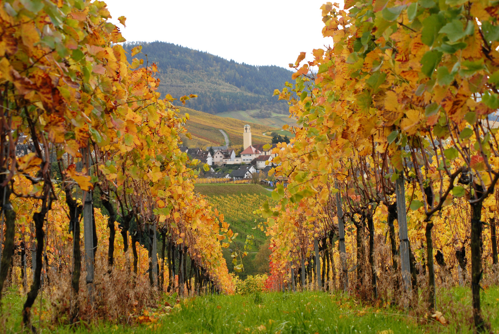 Herbst über Varnhalt bei Baden Baden Foto & Bild | jahreszeiten, herbst ...