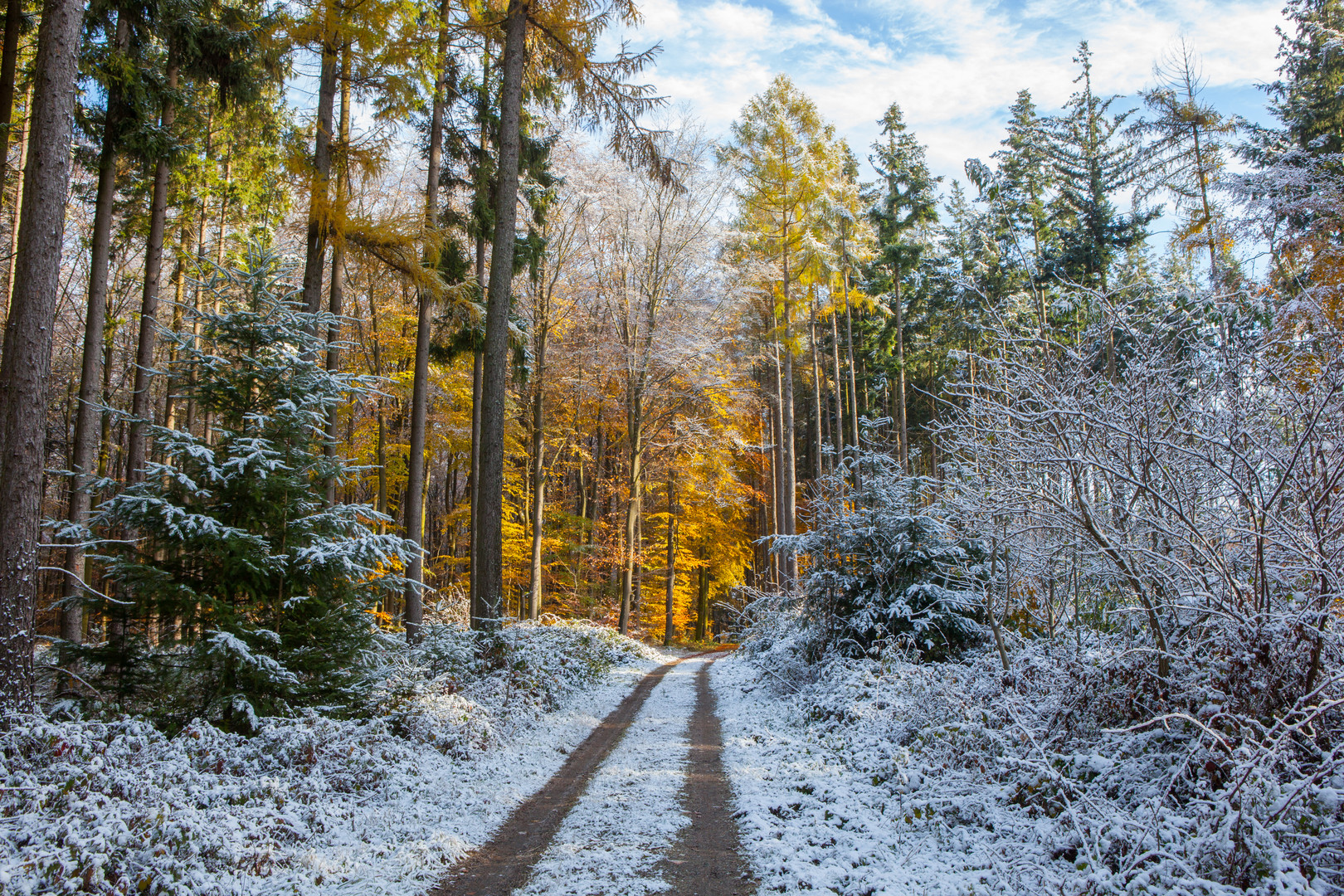 Herbst und Winter Foto & Bild | winter, schnee, natur Bilder auf ...
