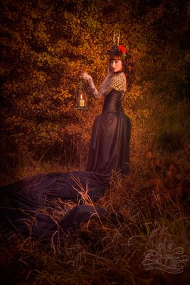 Wildcat_INK - Fotos & Bilder - Fotografin aus Leutenbach, Deutschland ...