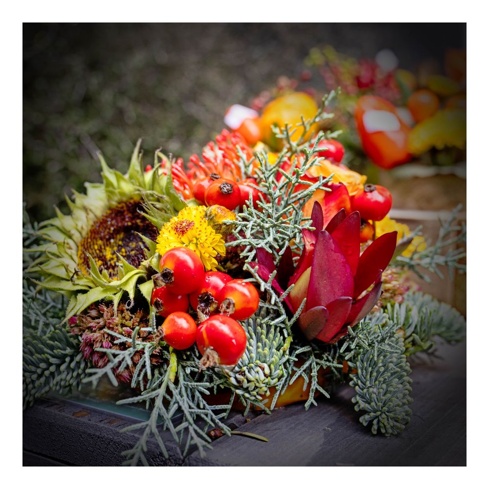 Herbst_03 Foto & Bild | spezial, natur, herbst Bilder auf fotocommunity