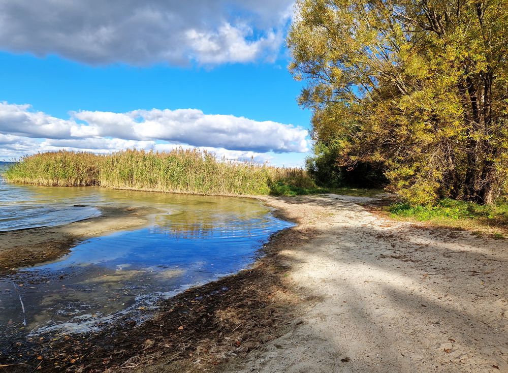 Herbstfarben Foto & Bild | landschaft, jahreszeiten, herbst Bilder auf fotocommunity
