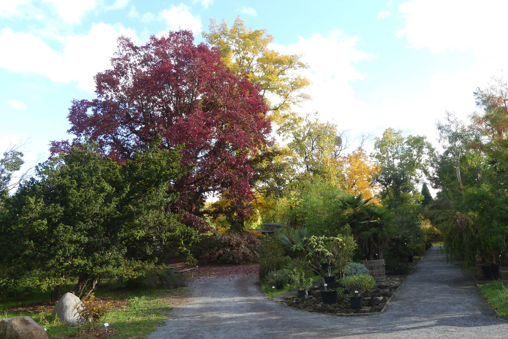 Herbstfarben 2 Foto & Bild | landschaft, jahreszeiten, herbst Bilder auf fotocommunity